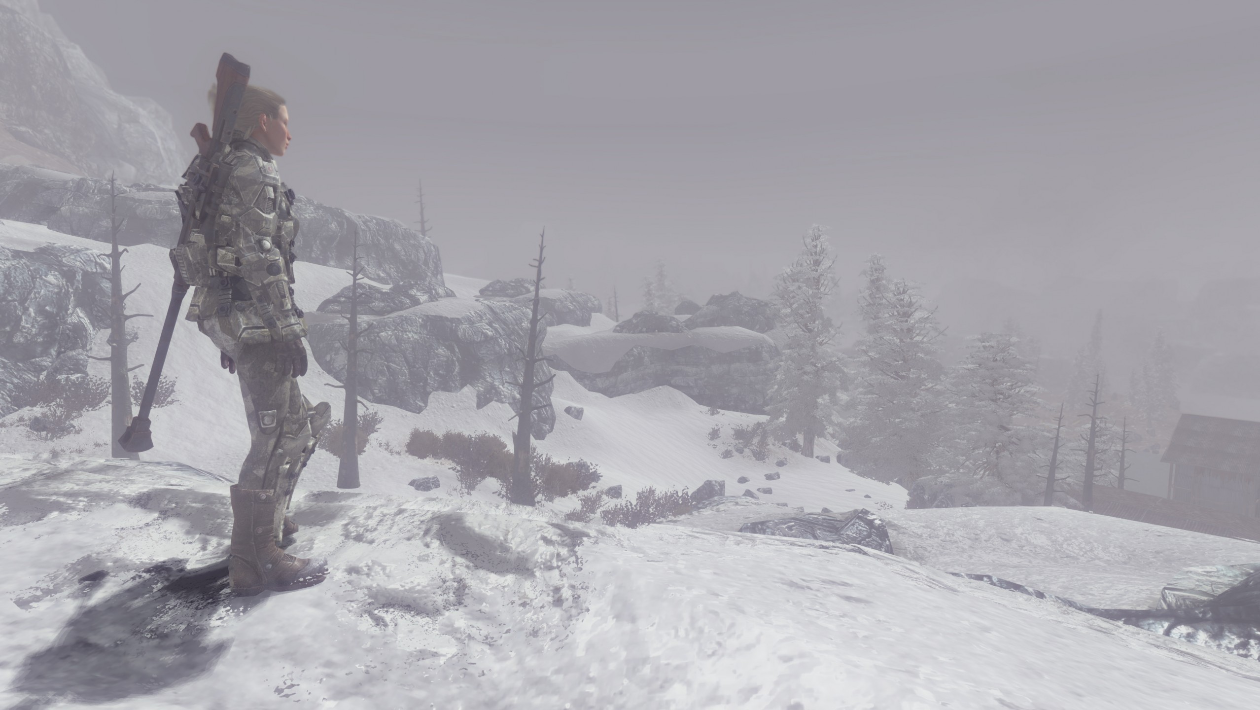 Gallery – Fallout Newvegas The Frontier